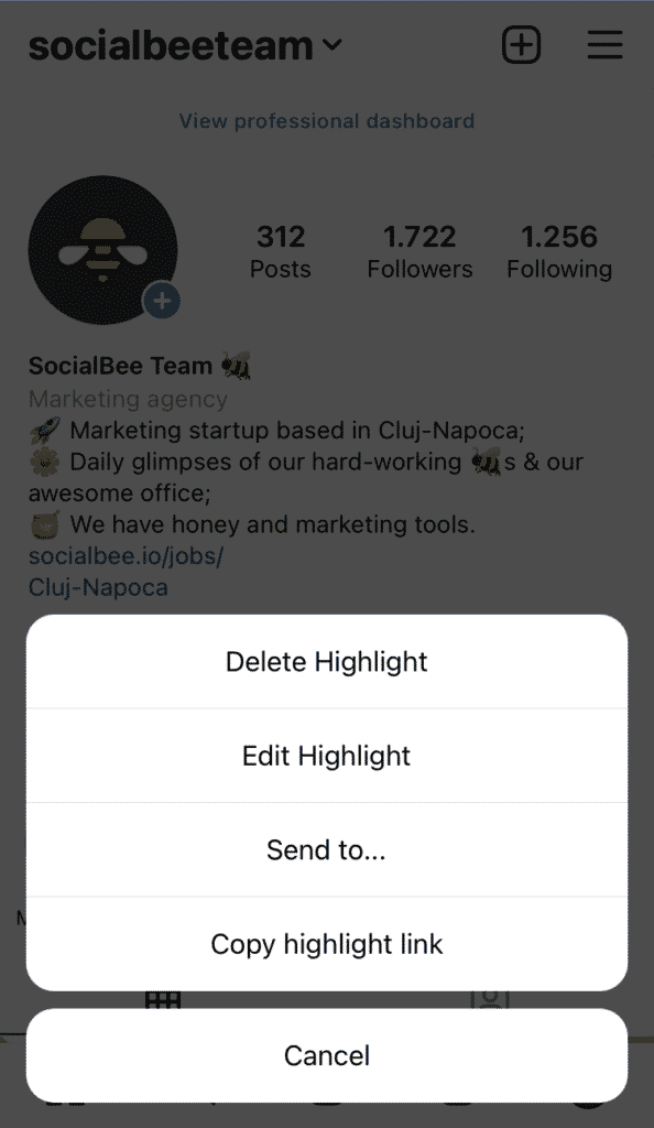 Everything You Need To Know About Instagram Highlights - SocialBee