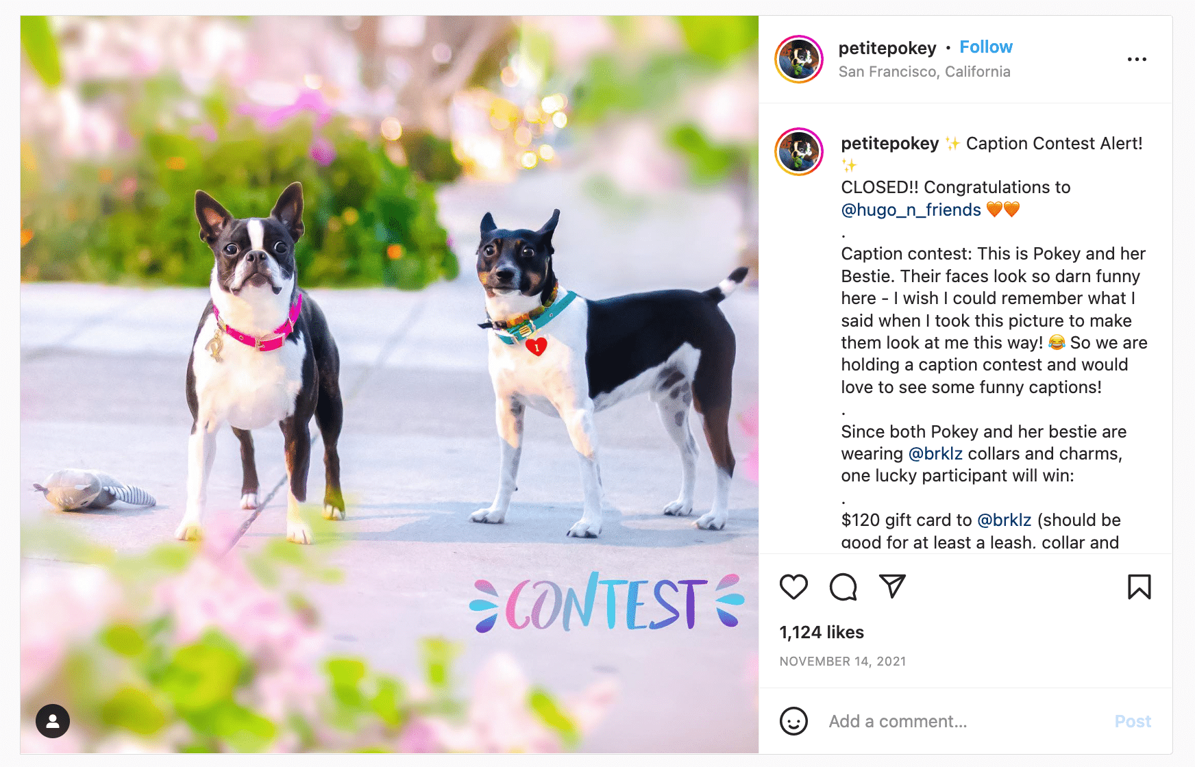 Interactive Post Ideas You Need to Use on Social Media - SocialBee