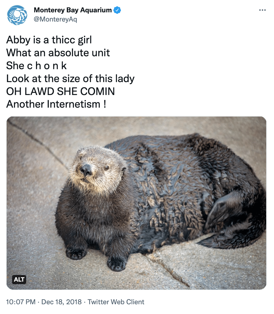 Humor in Copywriting: How to Create a Funny Social Media Post - SocialBee