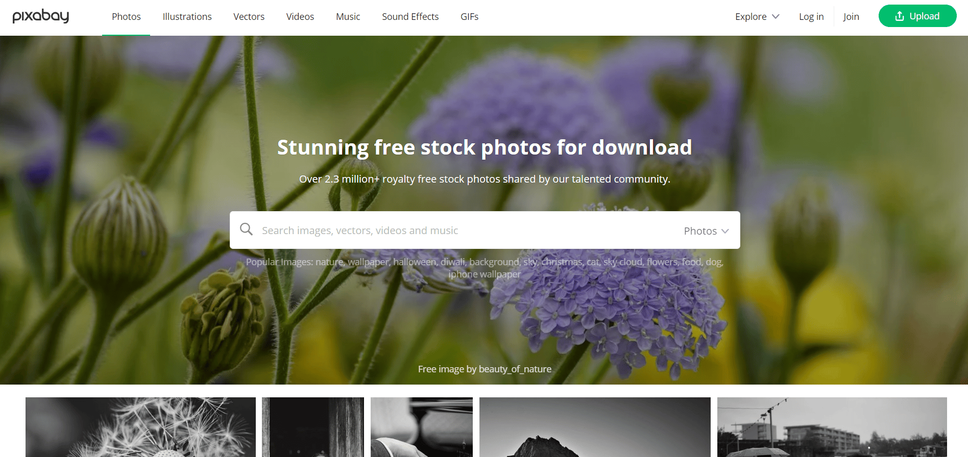 The Best 20 Sites to Find Free Images for Social Media - SocialBee