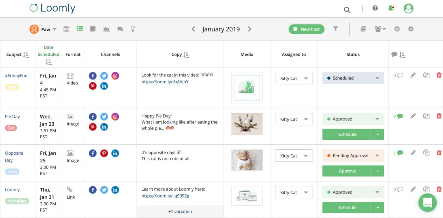The 10+ Tools You Need for Social Media Auto-Posting - SocialBee