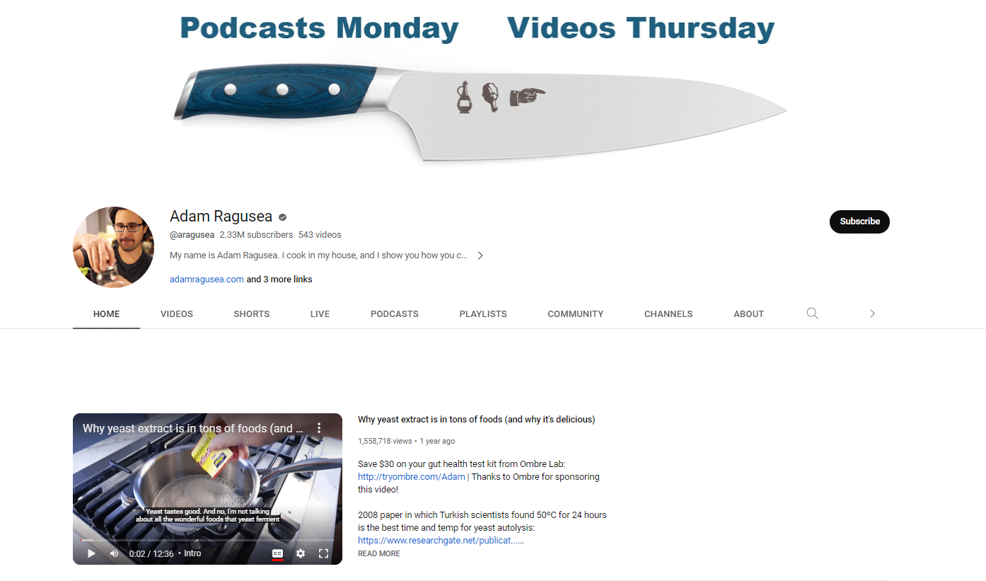 What Is a Digital Creator and How to Become One? - SocialBee