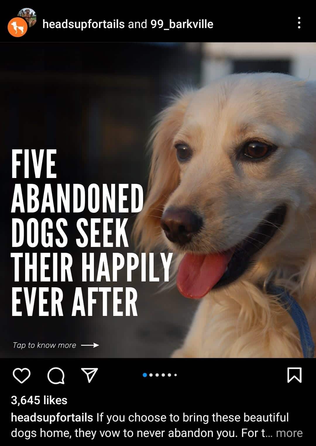 How to create Instagram Collab posts that boost discoverability - SocialBee