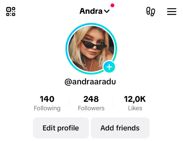What Are TikTok Stories & How to Leverage Them for Business - SocialBee