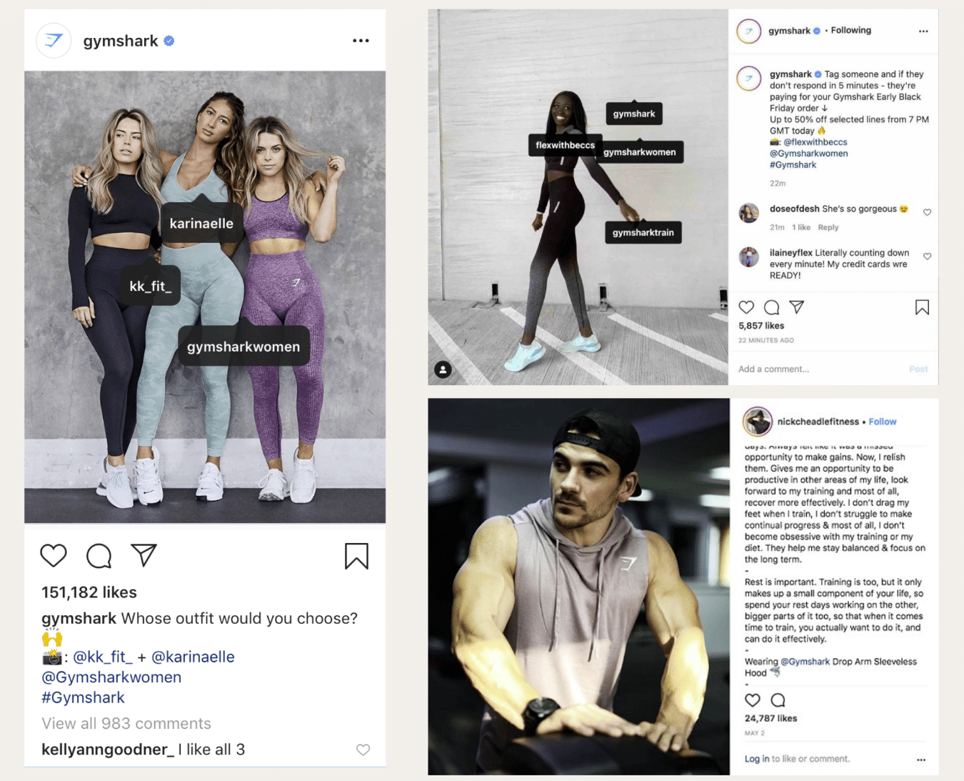 Successful Influencer Marketing Campaigns: Examples and Tips - SocialBee