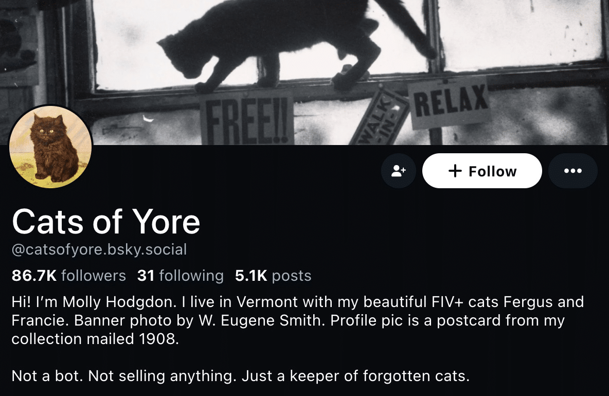 What Is Bluesky and How to Use it for Your Brand - SocialBee