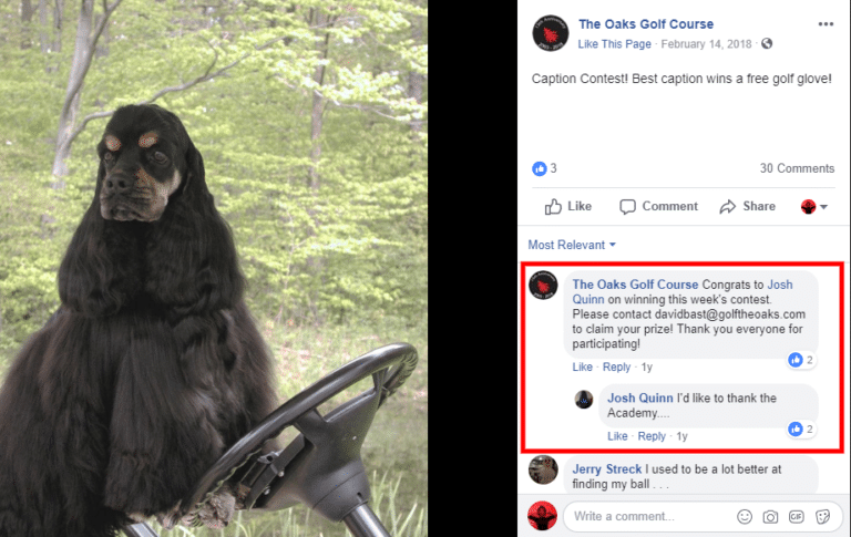 15 Interactive Facebook Posts Ideas to Try + Examples - SocialBee