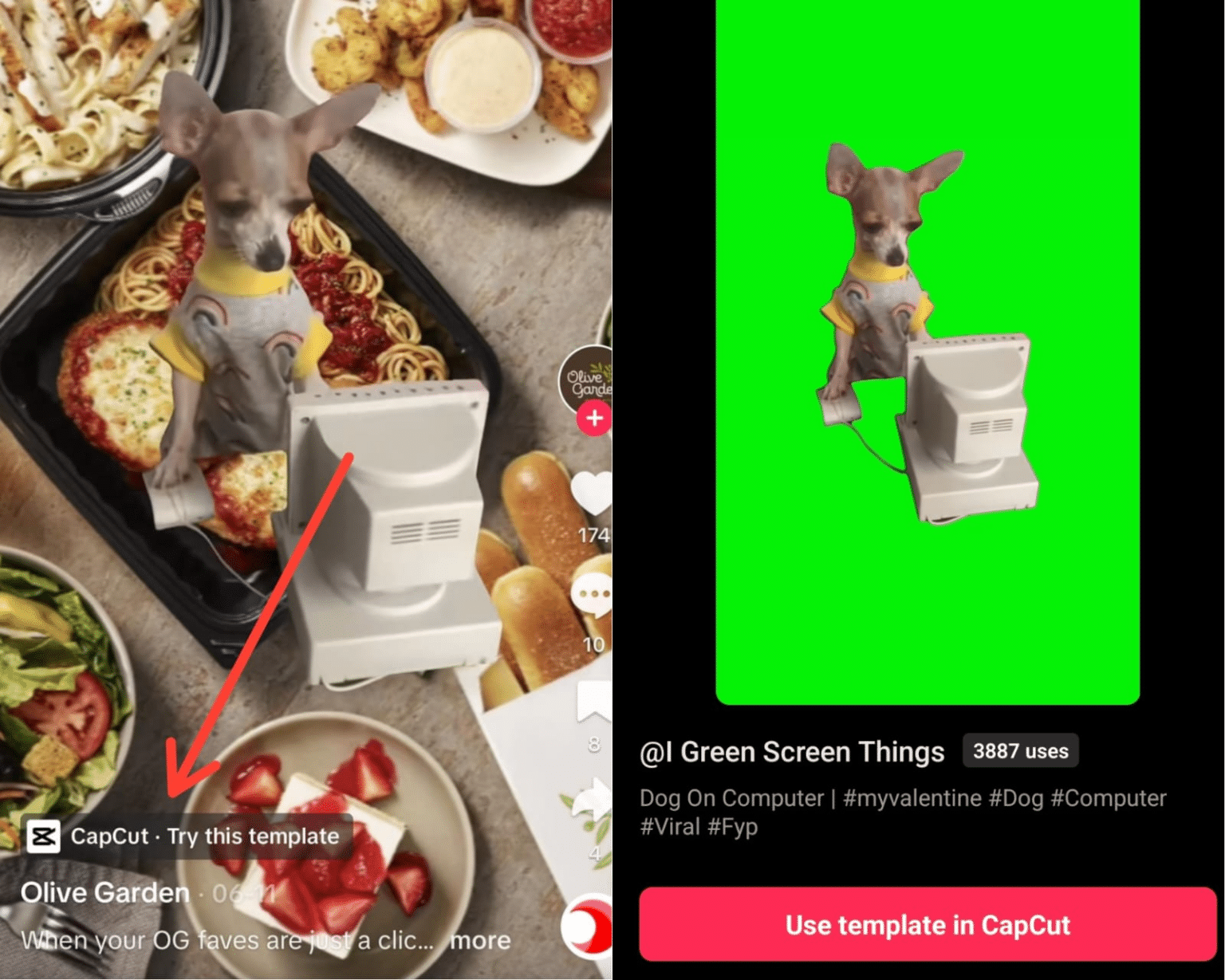 What Is CapCut and How to Use It on TikTok - SocialBee