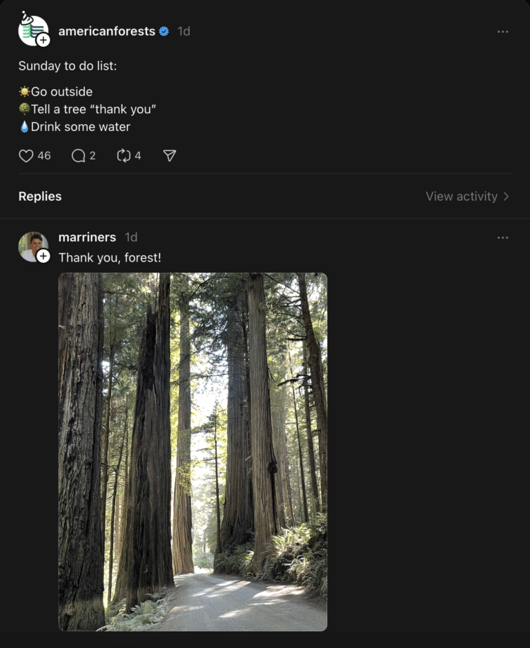 What Is Instagram's Threads App & How to Use It - SocialBee
