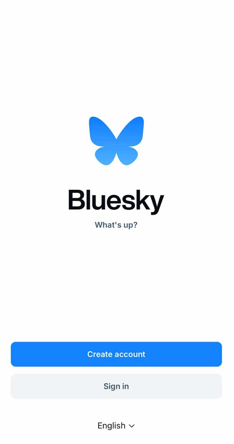 What is Bluesky and how to use it for your brand - SocialBee
