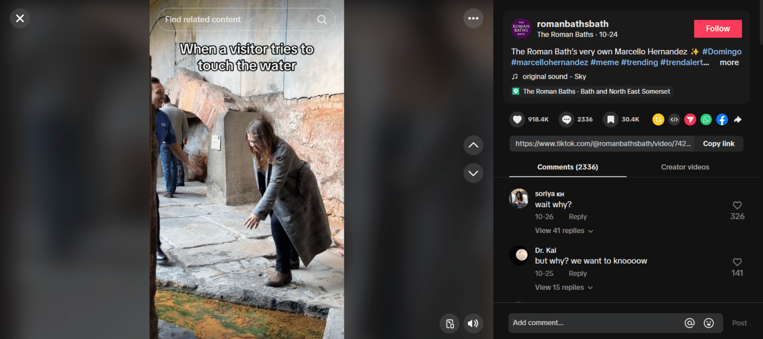 How to go viral on social media based on real examples - SocialBee