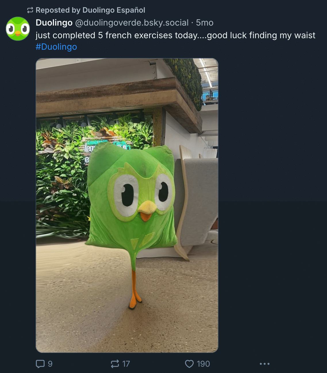 Best Bluesky post ideas & tips for 2025 - SocialBee