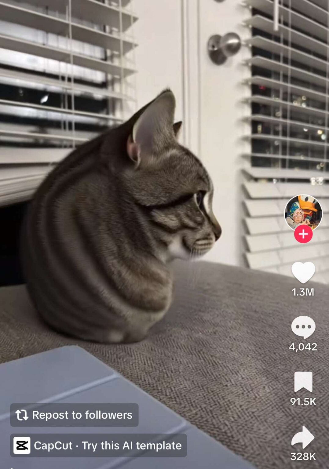 TikTok trends you can’t miss this week - SocialBee