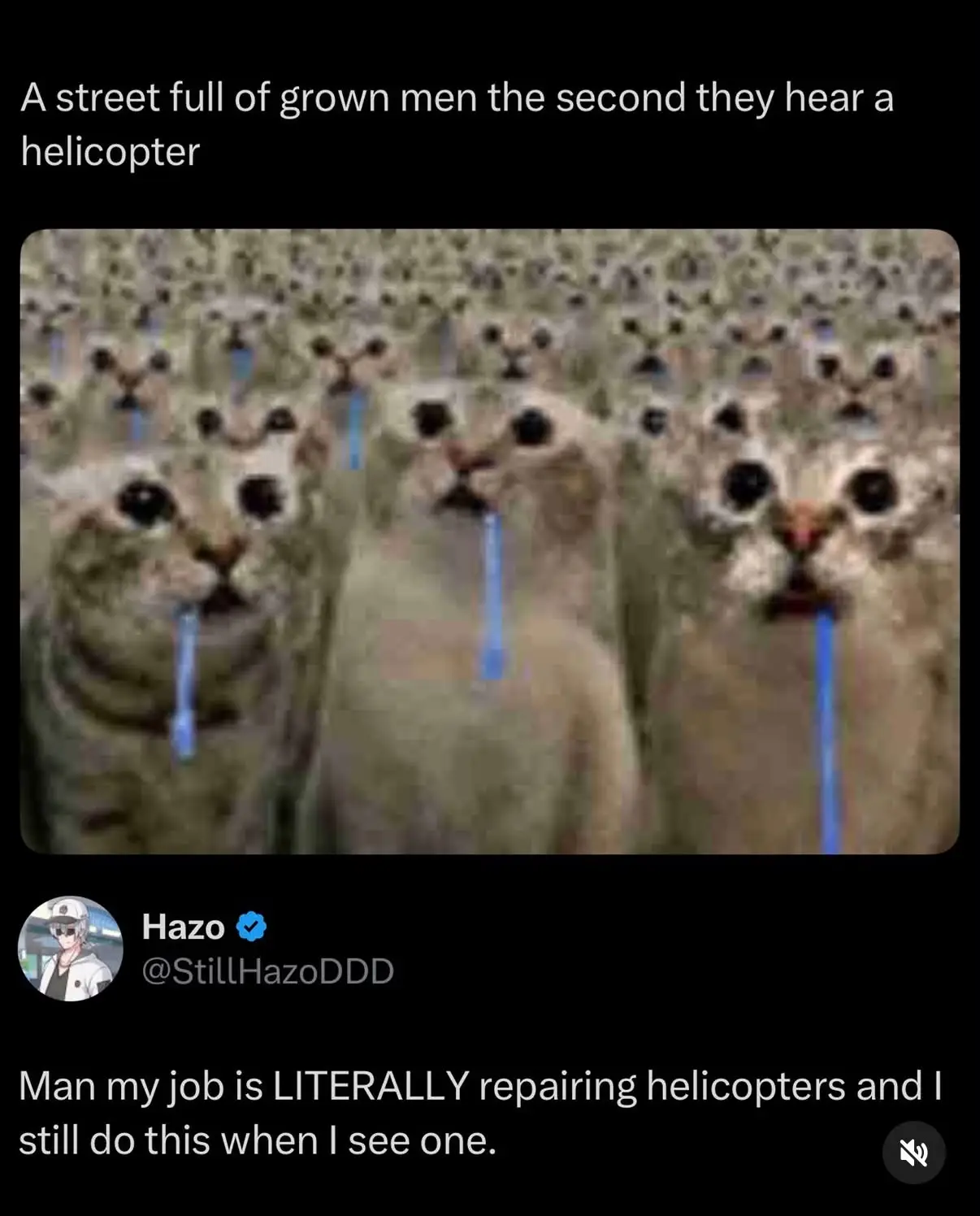 Trending Instagram memes this week - SocialBee